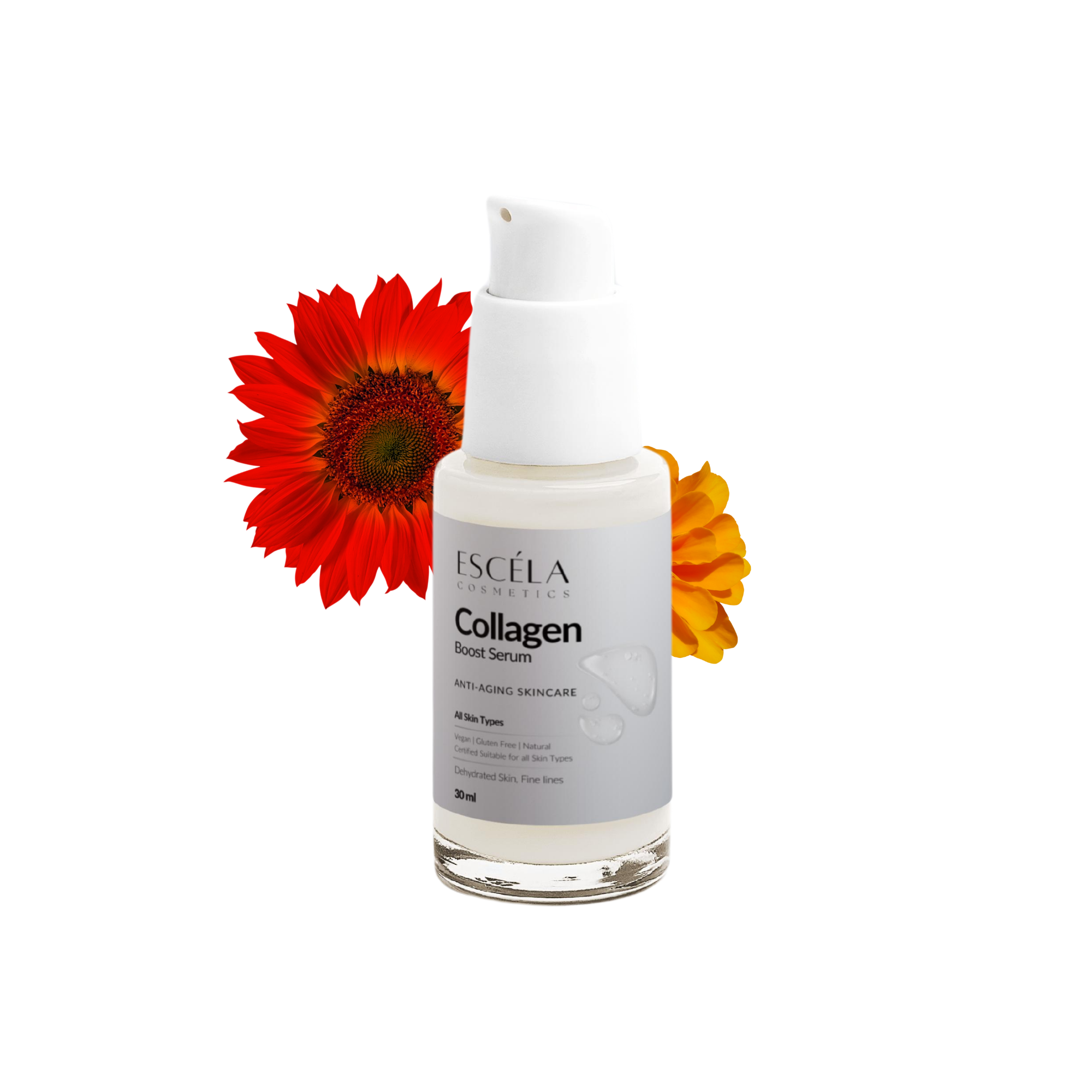 Collagen Boost Serum | Hydrating & Firming | Escéla Cosmetics